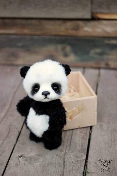 Pin de Usuario de Pinterest en G o o d V i b e s | Mascotas bonitas ...