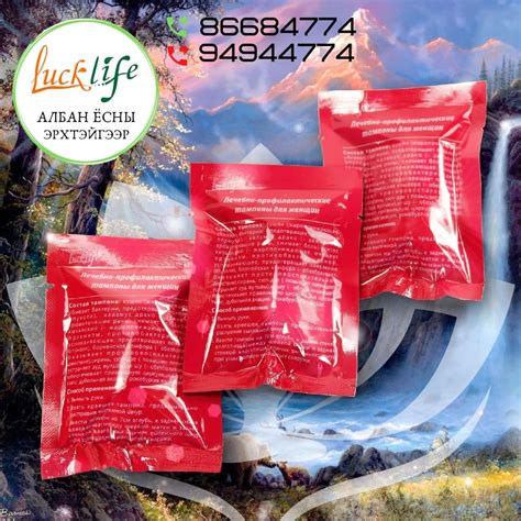 ЭМЭГТЭЙЧҮҮДИЙН НӨХӨН Дэлхийн эрүүл мэндийг Монголд