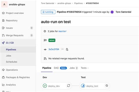 managing your infrastructure with ansible and gitlab ci cd by tore