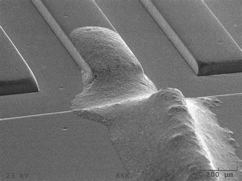 Sem Of An Additional Epoxy Contact Made On The Conducting Polymer Download Scientific Diagram