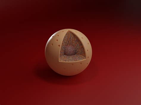 Scientists Discover Protein That Can Explain How The Nucleolus Evolved