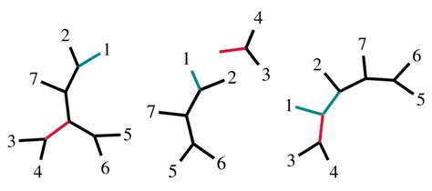 3 Subtree Prune Regraft Spr Operation On Unrooted Topologies From Download Scientific