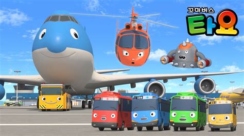 1시간 이어보기 타요 6기 인기본편⭐ L 하늘을 나는 비행기와 헬리콥터 ️🚁 L 내 친구 카고 L 공항에서 만난 새 친구들 L 꼬마버스 타요 Youtube