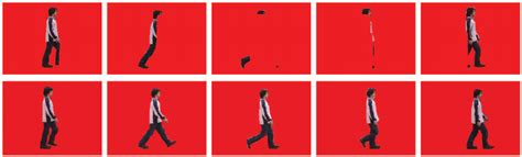 An Optimal 4 Â 4 Homographic Transform Is Computed To Align A Sample