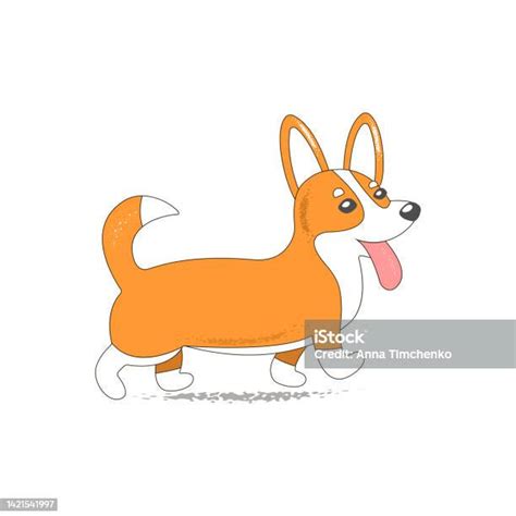 귀여운 행복한 벡터 코기 개가 흰색 배경에 산책합니다 아기 벡터 일러스트레이션 펨브록웰시코기에 대한 스톡 벡터 아트 및 기타 이미지 펨브록웰시코기 가정 생활 가축