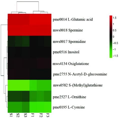 Diagram Of Auxin Signal Transduction Pathway In F And S Cell Lines Of