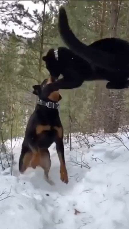 десерт рецепт On Instagram “🙌 ДОРОГИЕ МОИ ОСТАВЬТЕ ХОТЯ БЫ СМАЙЛИК В КОММЕНТАРИЯХ ЧТОБЫ Я