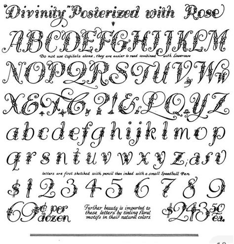 Flower Script From Speedball 20th Edition Lettering Textbook