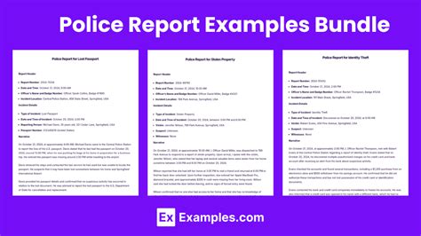 15 Police Report Examples To Download