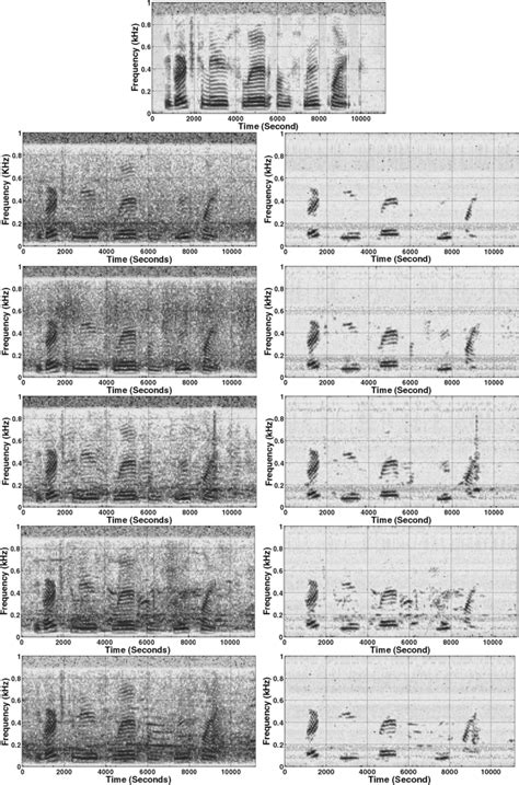 speech spectrograms of sp1 utterance the birch canoe slid on the