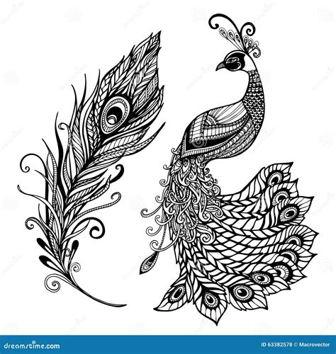 Peacock Print Designs