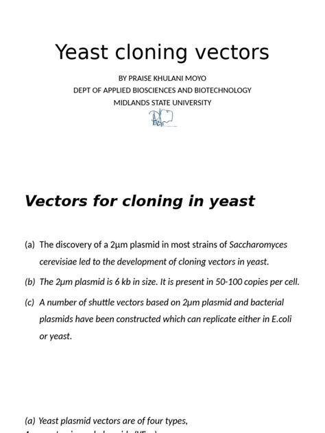 Yeast Cloning Vectors Overview Pdf Plasmid Vector Molecular Biology