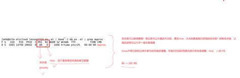 linux进程概念 csdn博客