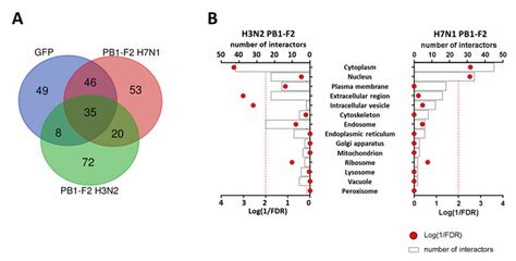 A Venn Diagram Representing The Repartition Of BioID Fusion Proteins Download Scientific