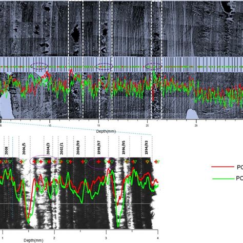 The Comparison Between The Laminae Images Revised From Li Et Al Download Scientific