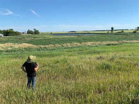 Roxinne Mcphails Memorial Website Ever Loved