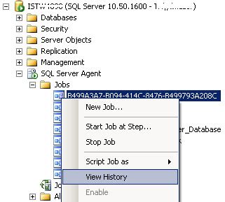 How to Find the Causes of SSIS Package Failure in SQL Agent 万博体育网页版注册登录