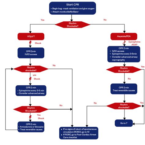 Pediatric Cardiac Arrest Algorithm Heart Start Cpr