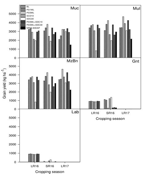 Effect Of Late Planting Short Duration Genotype And Drought Scenarios