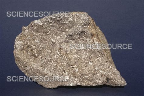 Fossiliferous Limestone Sedimentary Rock