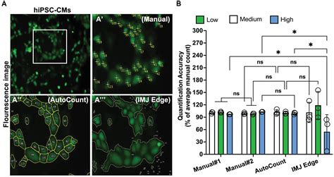Autocount An Imagej Macro For Automatic Cell Counting Of Fluorescent Images Dna And Cell