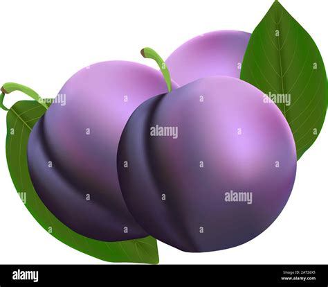Ripe Plum With Green Leaves Isolated On White Background Realistic