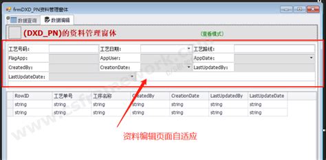 Winform界面自适应快速开发框架cdev三层架构多数据库支持）cs框架网