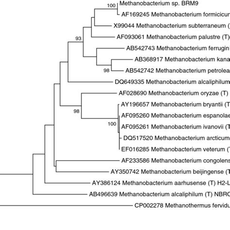 Classification And General Features Of Methanobacterium Formicicum Brm9 Download Table
