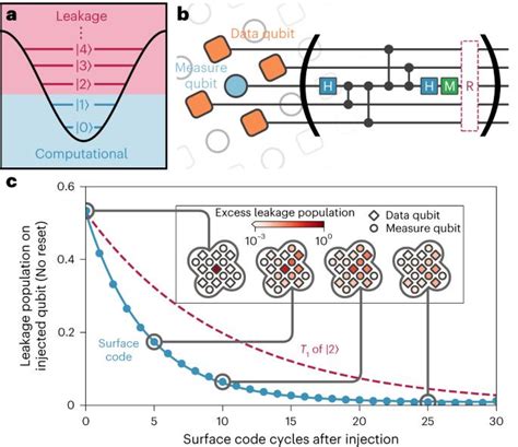 Markus Hoffmann On Linkedin Overcoming Leakage In Quantum Error