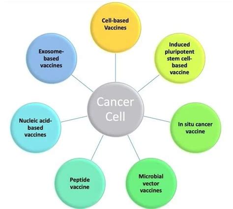 Cells Mdpi On Linkedin Cellsmdpi Cellbiology