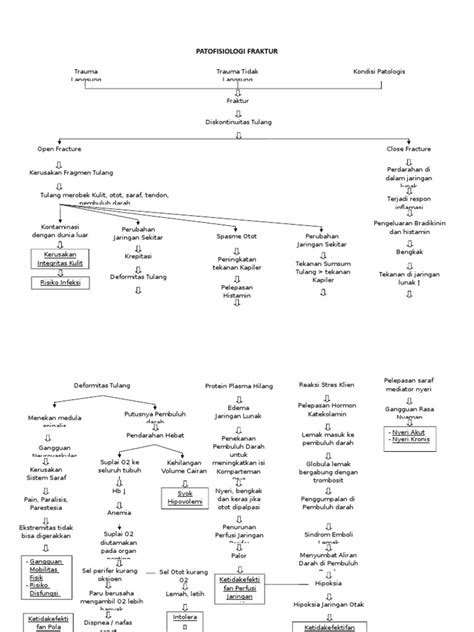 Patofisiologi Fraktur Pdf