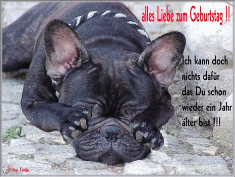 Glückwunsch Geburtstag Hund, Untitled... | wünsche zum geburtstag