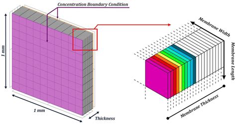 6 Finite Element Model A Specimen Dimensions Discretization And