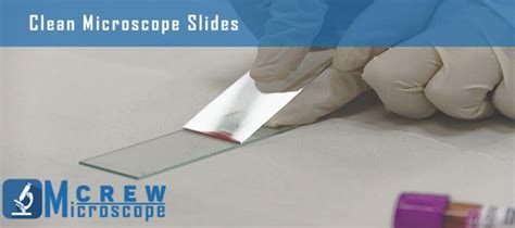 How To Clean Microscope Slides Microscope Crew