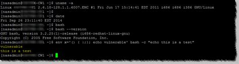 Shellshock Bash Exploit — Vulnerable Pragmatic Io