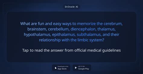 What Are Fun And Easy Ways To Memorize The Cerebrum Brainstem Cerebellum Diencephalon