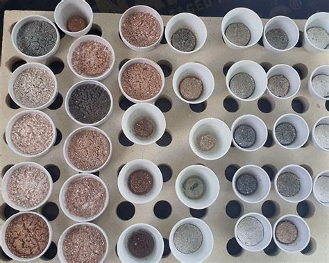 Revealing The Carbon Mitigation Potential From Seychelles Mangrove Forests Blue Carbon Lab