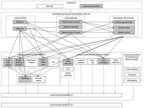 An Operational Single Dataset Causal Diagram Download Scientific Diagram