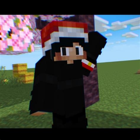 Minecraftgamer Xexe Youtube