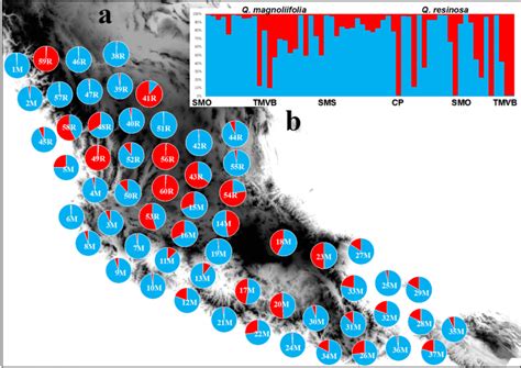 Results Of Structure Bayesian Analysis Of Population Structure For Q