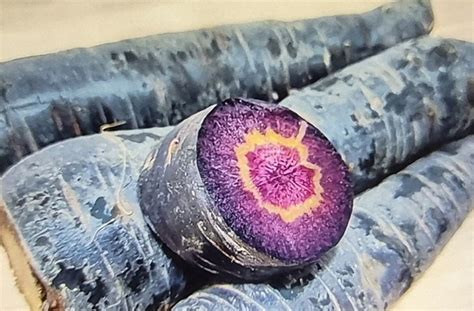 혈관 건강 혈관에 좋은 자색당근 효능 영양성분 부작용 네이버 블로그