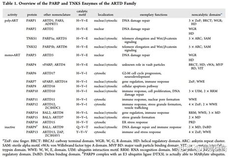 Parp Panelparp抑制剂parp蛋白激酶谱检测服务 知乎