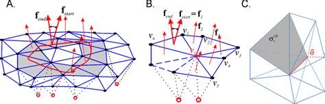 Discrete Geometry Of A Dressed Simplicial Complex A Discrete