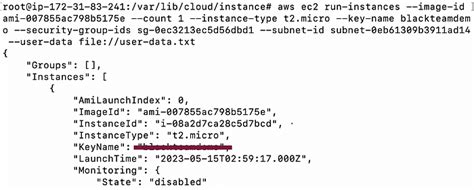 How To Install Nginx Using Aws Ec2 User Data Set Up Ami And Launch