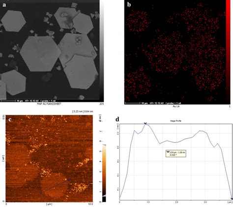 Mapping Images A And B Afm Image C And Height Profile Of