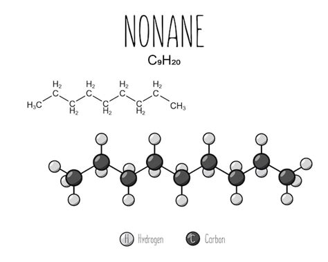Premium Vector Nonane Skeletal Structure And Flat Model