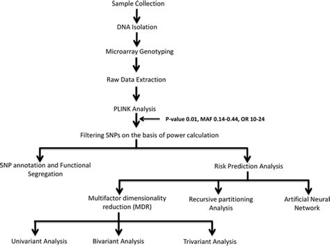 Diagrammatic Representation Of Workflow From Sample Collection Qc Download Scientific Diagram