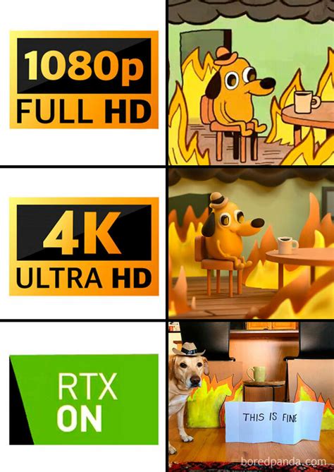 People Are Making Fun Of Evolution Of Pretty Much Everything With 40 Hilarious Memes Bored Panda