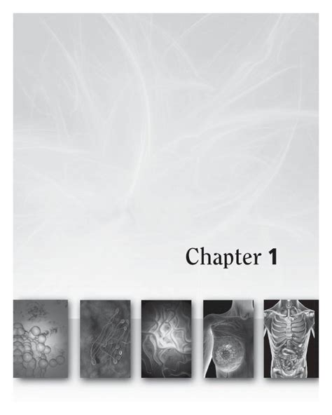 Pdf Chapter 001 Workbook Dokumentips