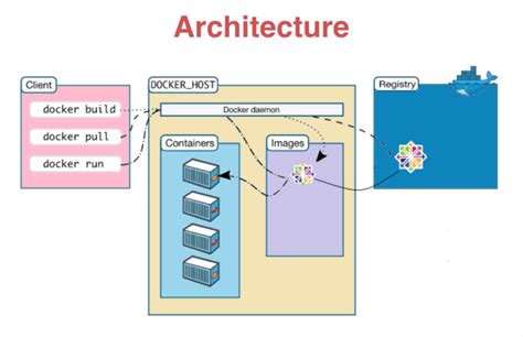 初识docker